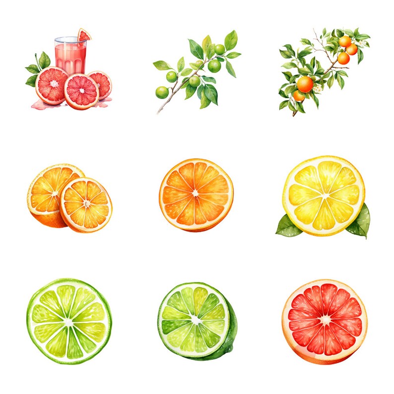 Watercolor Citrus Clipart Fruit Clipart Citrus Graphics Lemon Clipart ...
