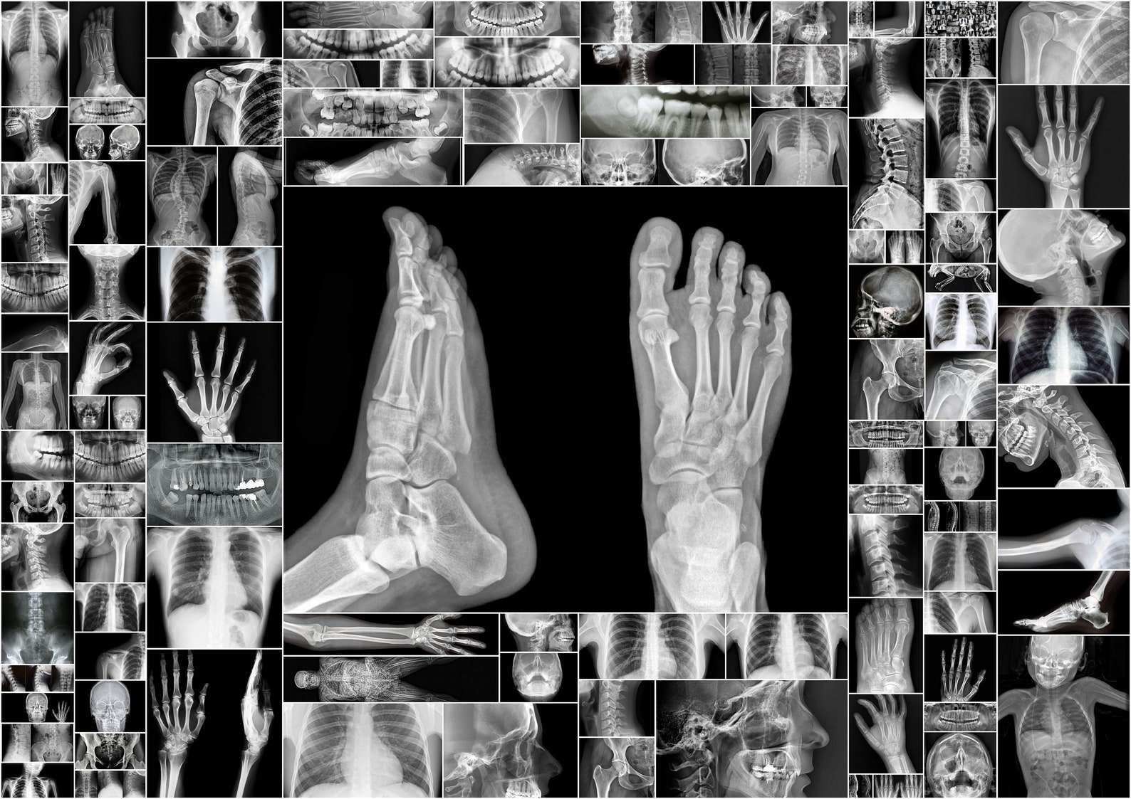 X Ray 100 Files Instant Downloads. Printable Tags Pages Paper Craft - Etsy