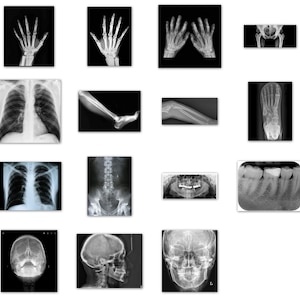 X Ray Files Instant Downloads. Printable Tags Pages Paper Craft - Etsy