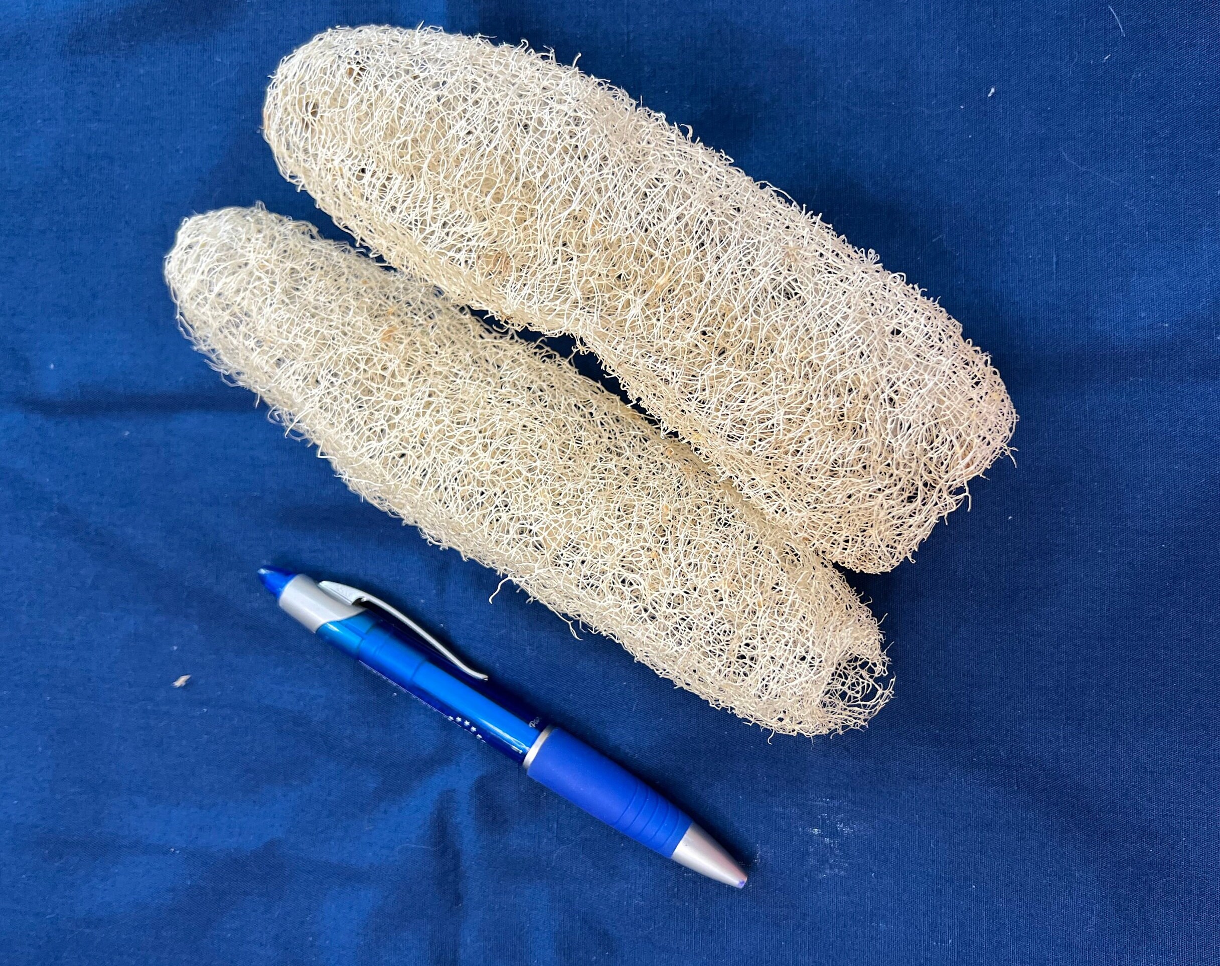 Natural Whole Loofah Luffa - Etsy
