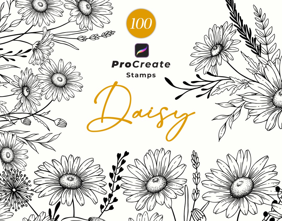 Procreate Daisy Stamp Brushes, Daisy Botanical Stamps, Hand Drawn ...