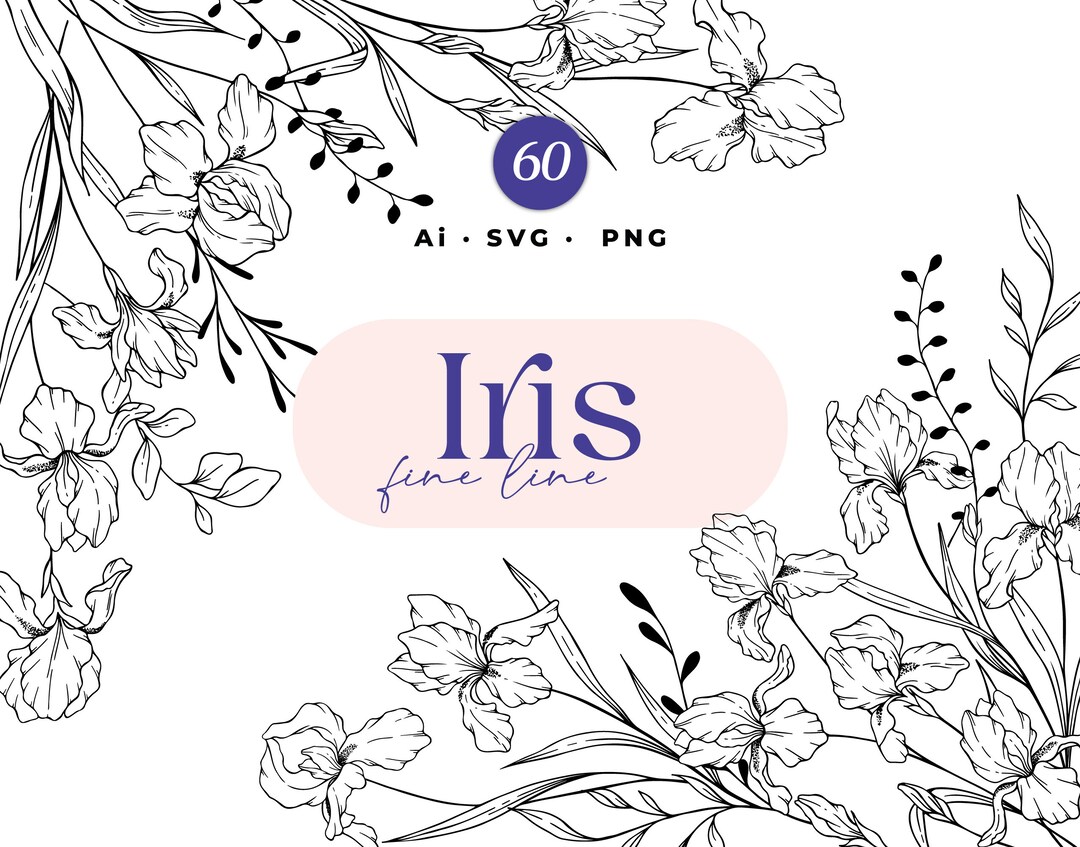 Iris Flower Line Art, Botanical Iris Line Art SVG, Iris Clipart ...