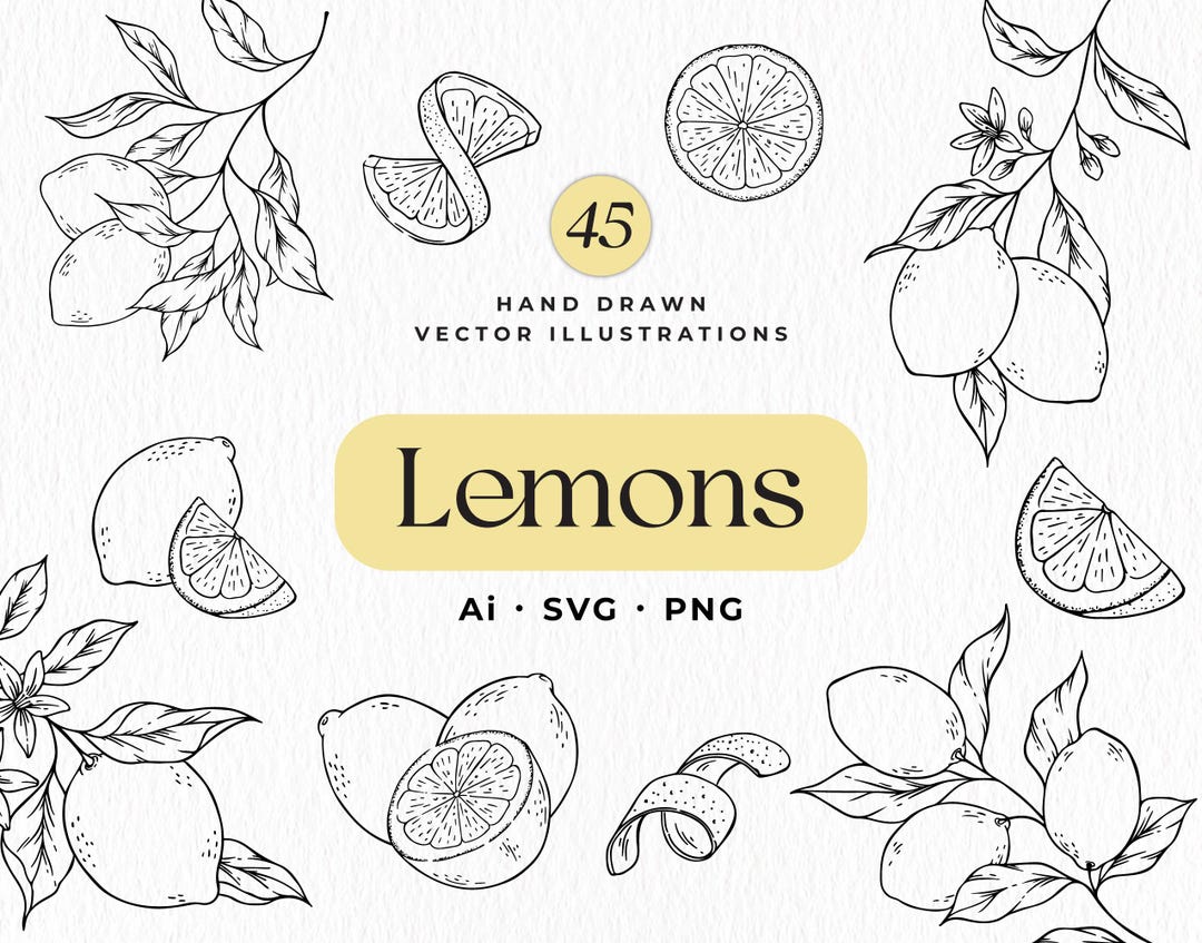 Hand Drawn Lemon SVG Bundle: Botanical Citrus Clipart (digital Download ...