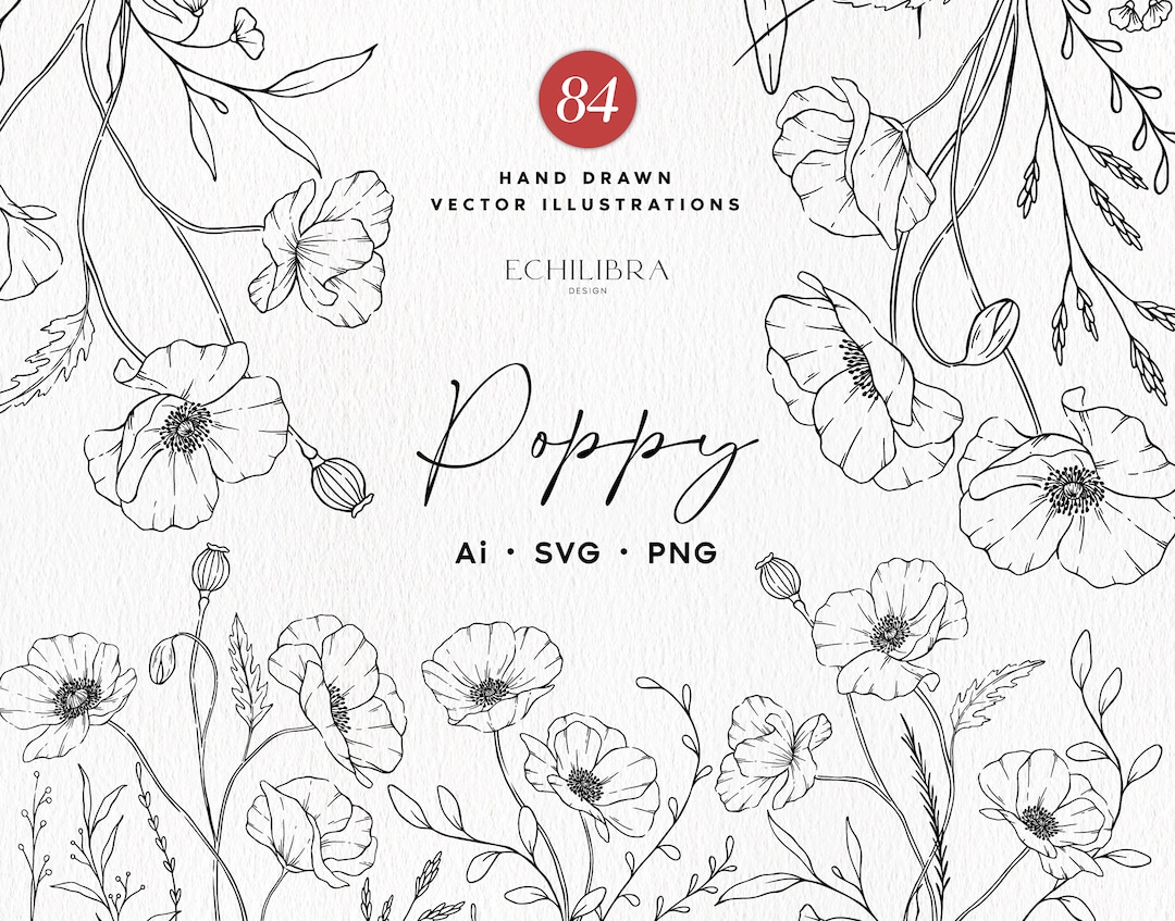 Poppy Line Art Clip Art, Botanical Line Art PNG, Poppy Flower Bundle ...
