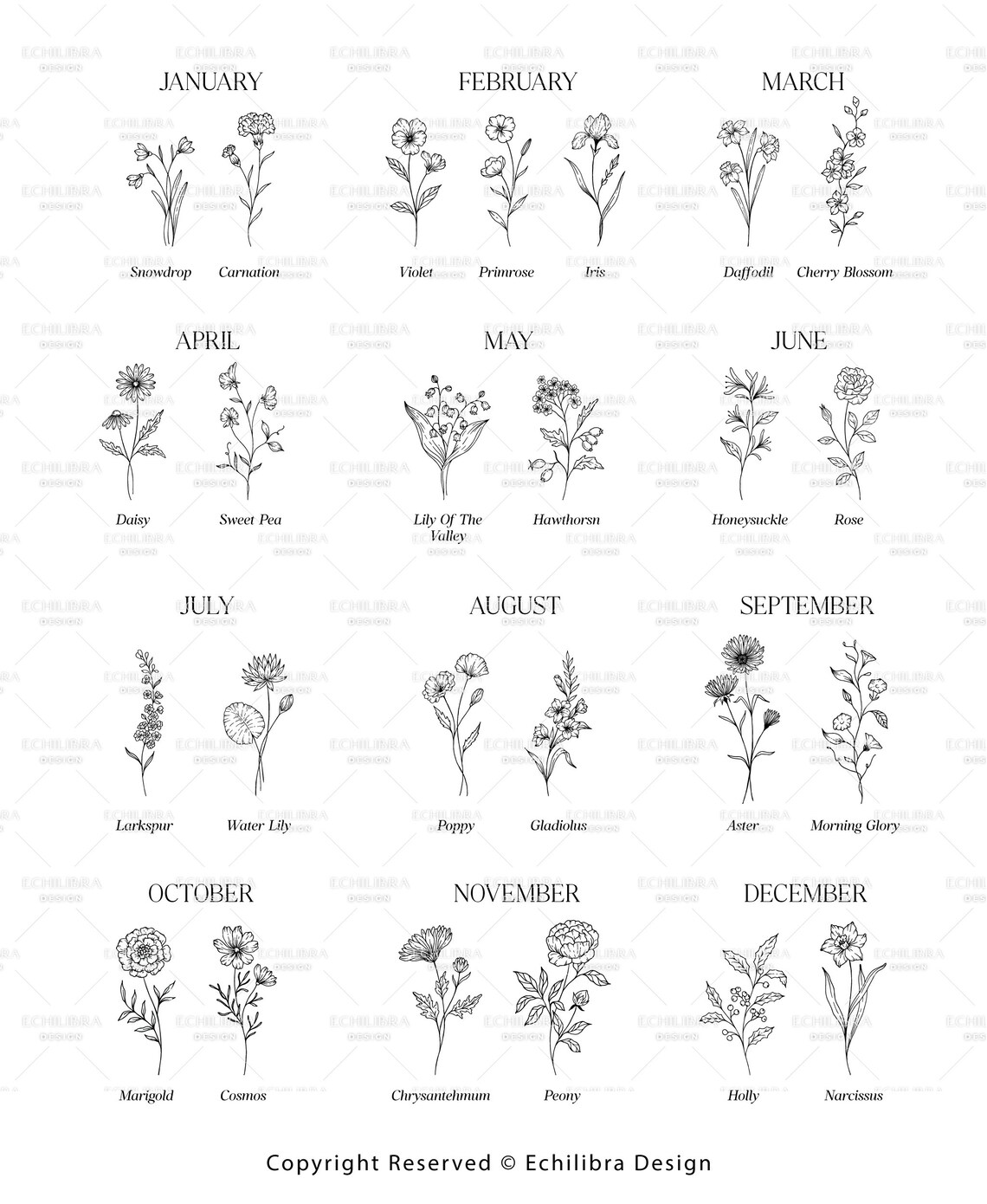 Birth Month Flowers Hand Drawn Vector Illustrations Clipart - Etsy UK