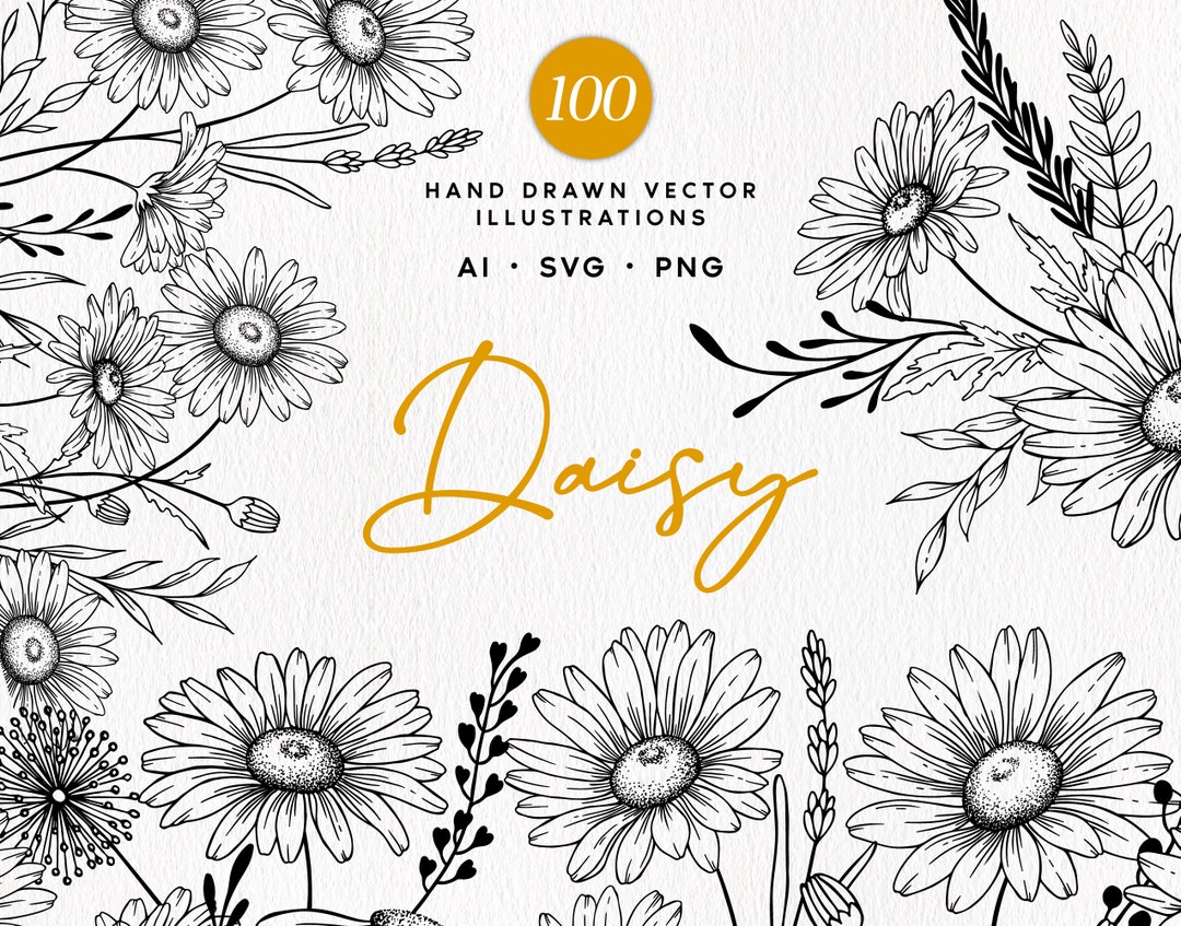Daisy Floral Line Art Bundle, Daisy Botanical SVG, Clipart, Spring ...