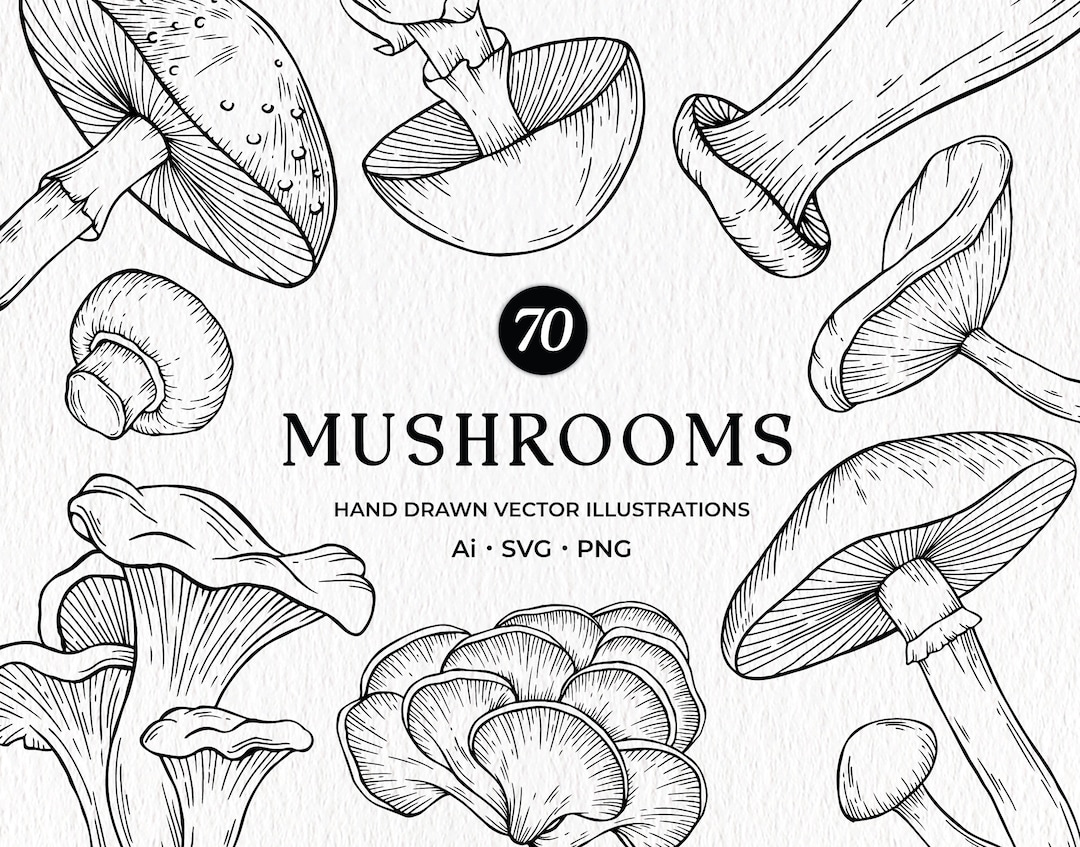 70 Hand Drawn Mushroom Illustrations, Vector Art, Botanical Clipart (AI ...
