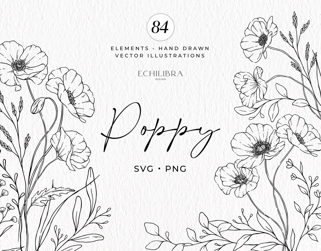 Poppy Line Art Clip Art Botanical Line Art PNG Poppy Flower - Etsy