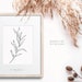 Botanical Line Art, Minimalistic Line Flowers, Botanical Line Art ...