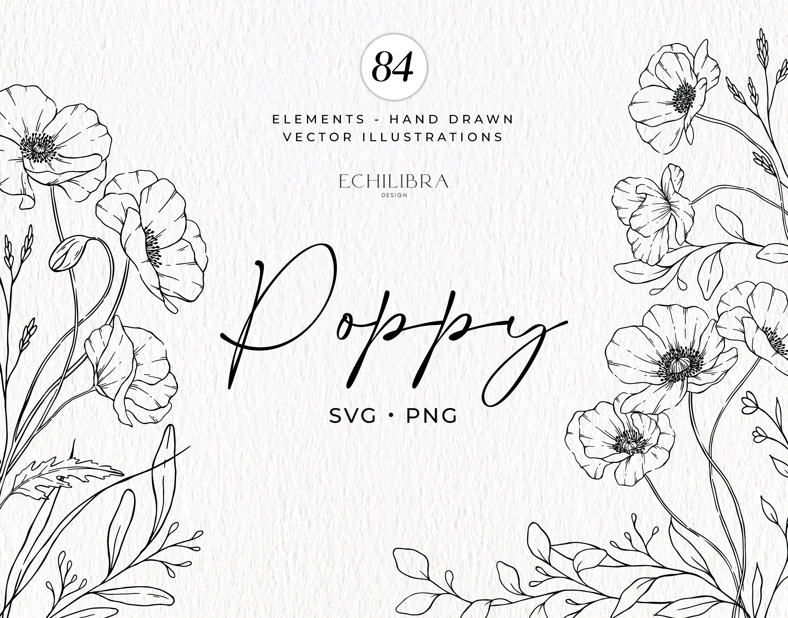 Poppy Line Art Clip Art Botanical Line Art PNG Poppy Flower - Etsy ...