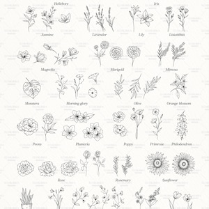 Botanical SVG Bundle, Flowers and Leaves Clipart, Fine Line Florals SVG ...