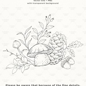 Autumn Floral Line Art, Fall Flowers, Hand Drawn Autumn Designs ...