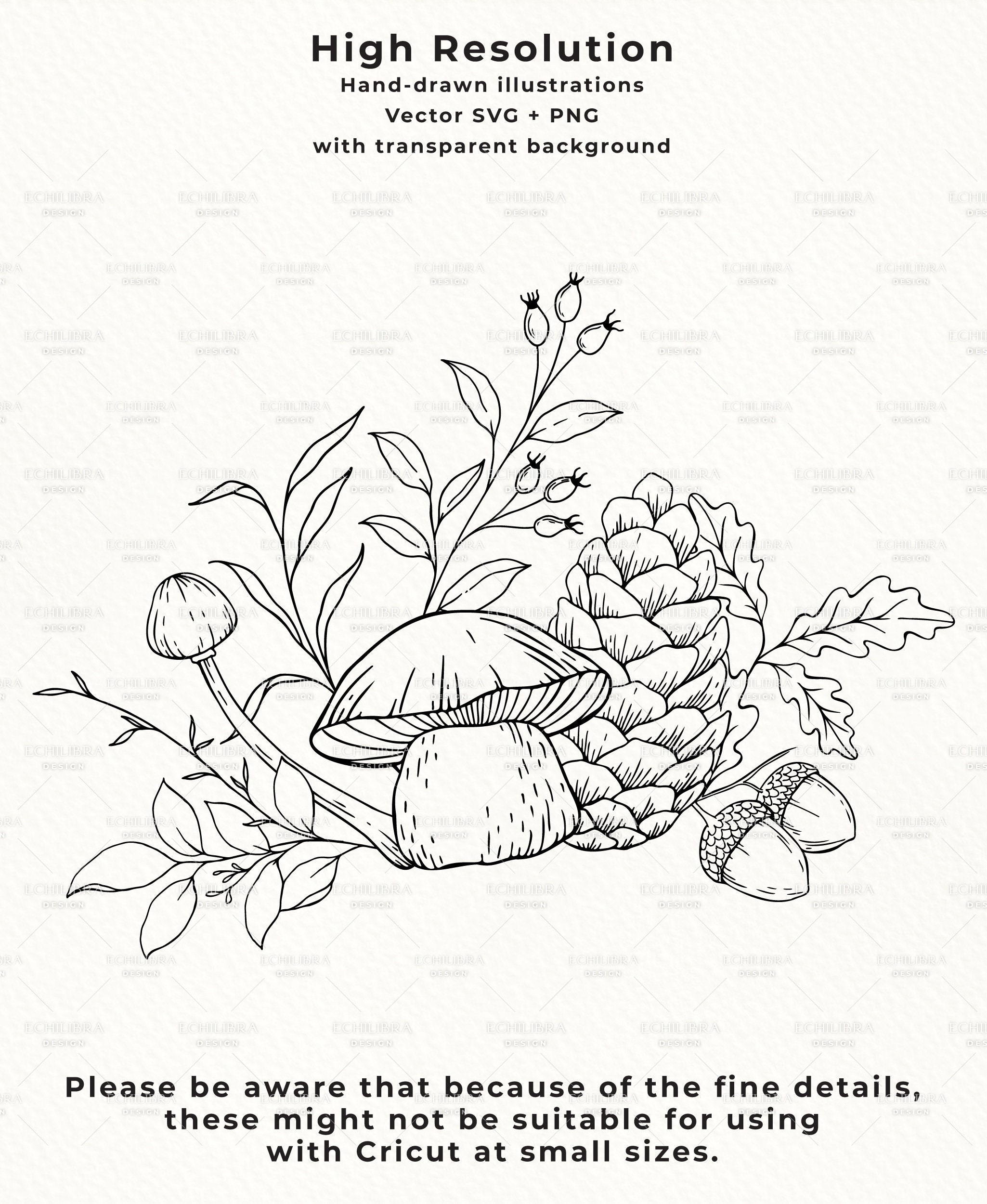 Autumn Floral Line Art, Fall Flowers, Hand Drawn Autumn Designs ...