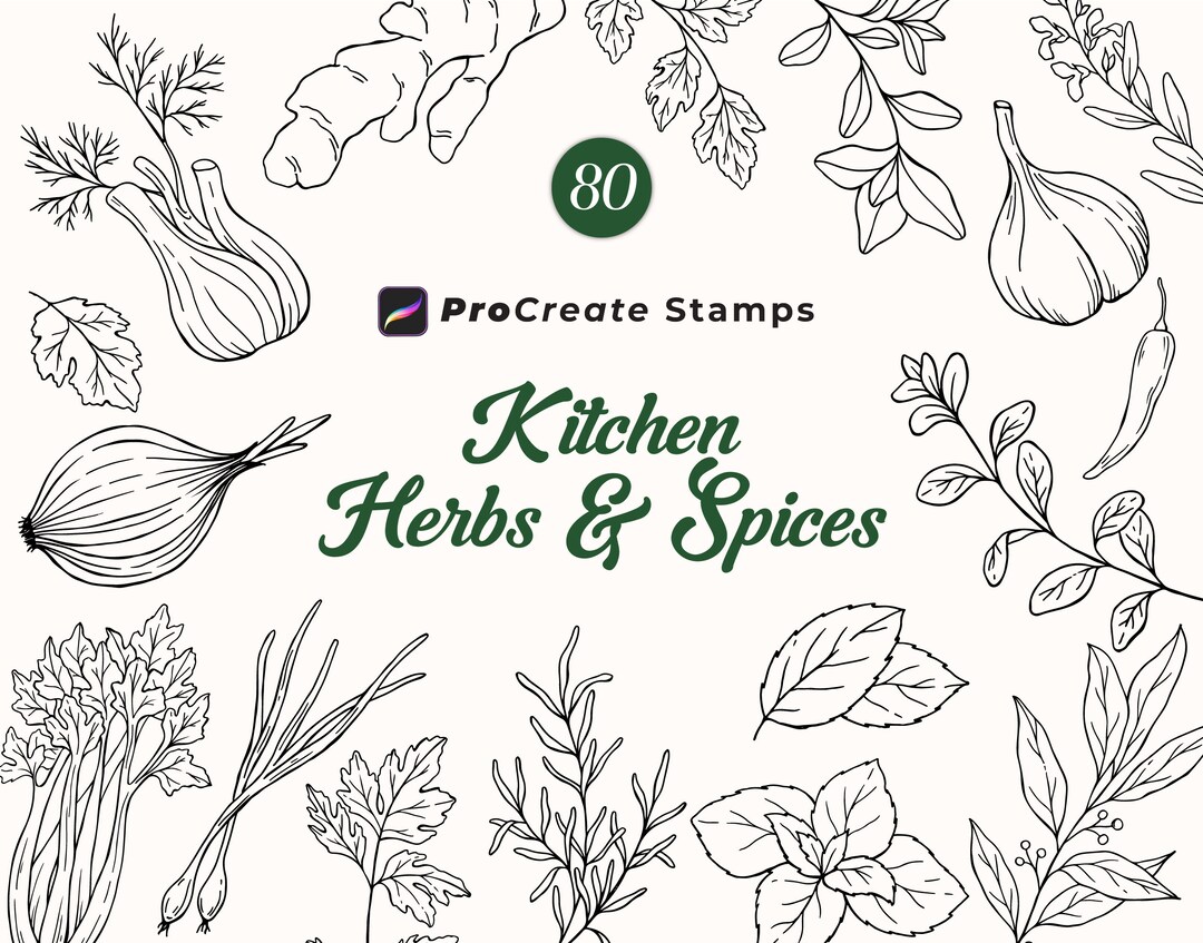 Procreate Kitchen Herbs Stamps, Herbs and Spices Procreate, Botanical ...
