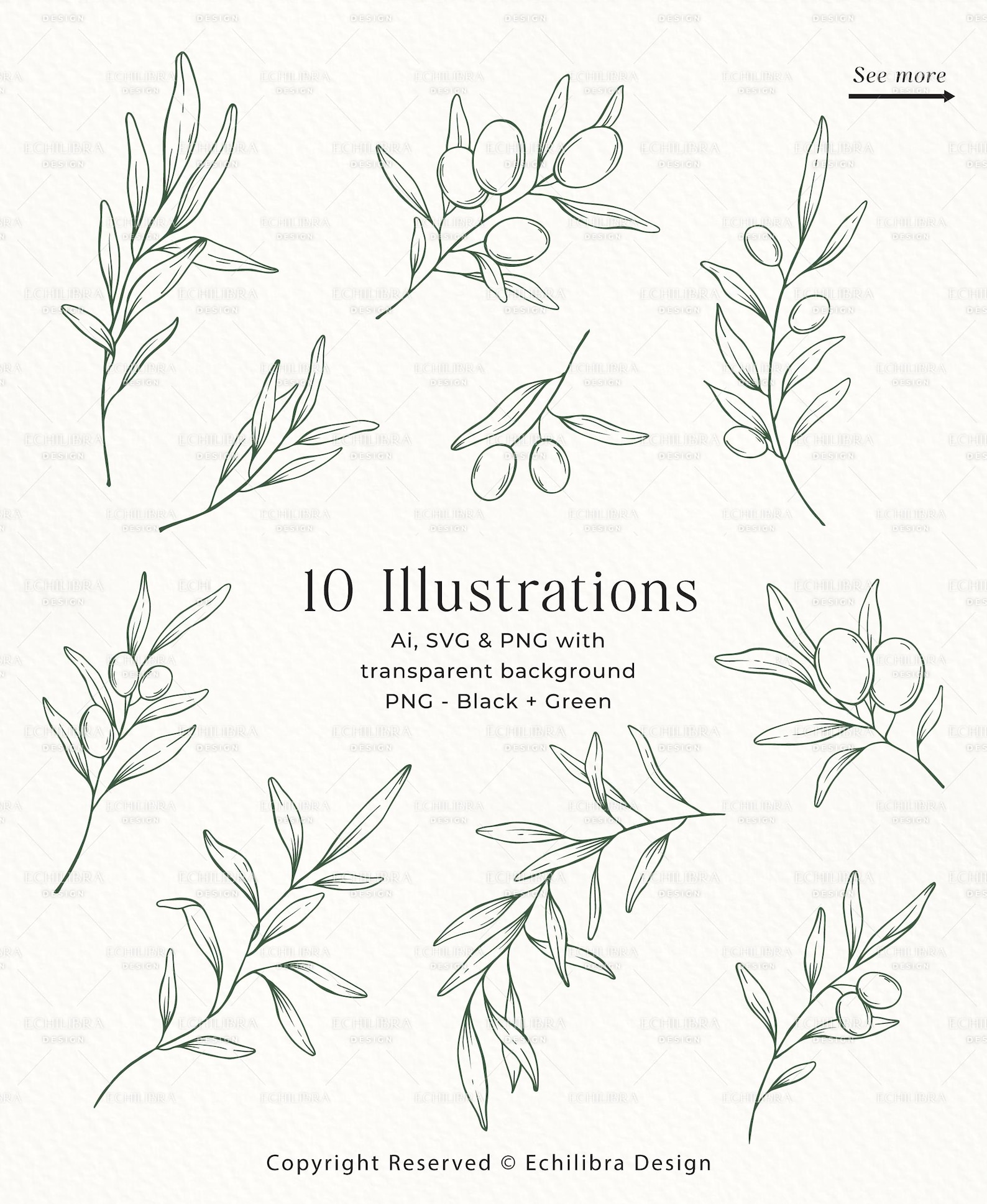 Hand Drawn Olives SVG, Botanical Olive Clipart PNG, Olive Wreath PNG ...