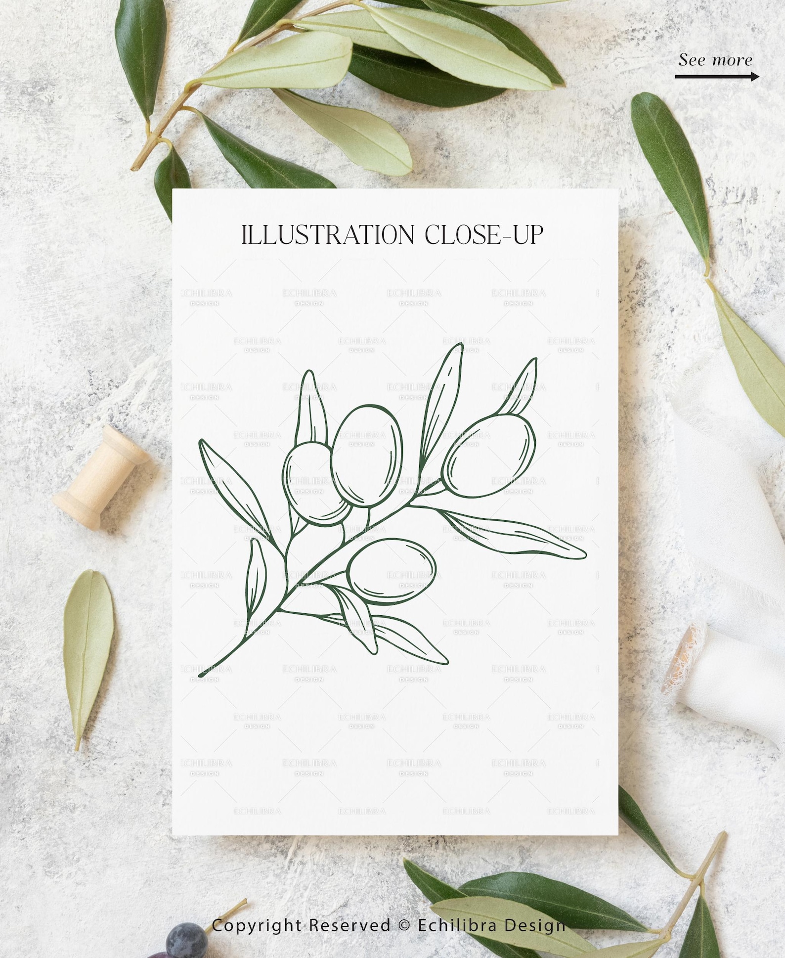 Hand Drawn Olives SVG, Botanical Olive Clipart PNG, Olive Wreath PNG ...
