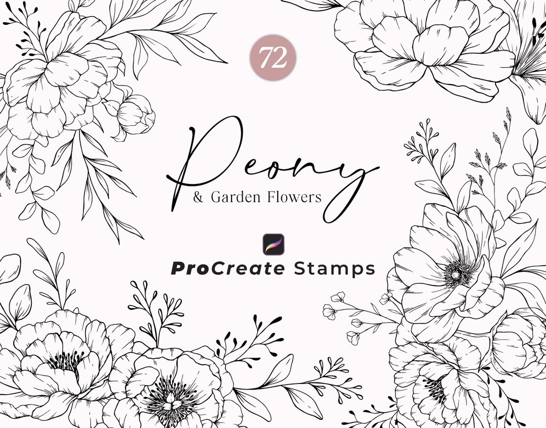 Procreate Peony Flowers, Line Art Flower Stamps, Tattoo Brushes ...