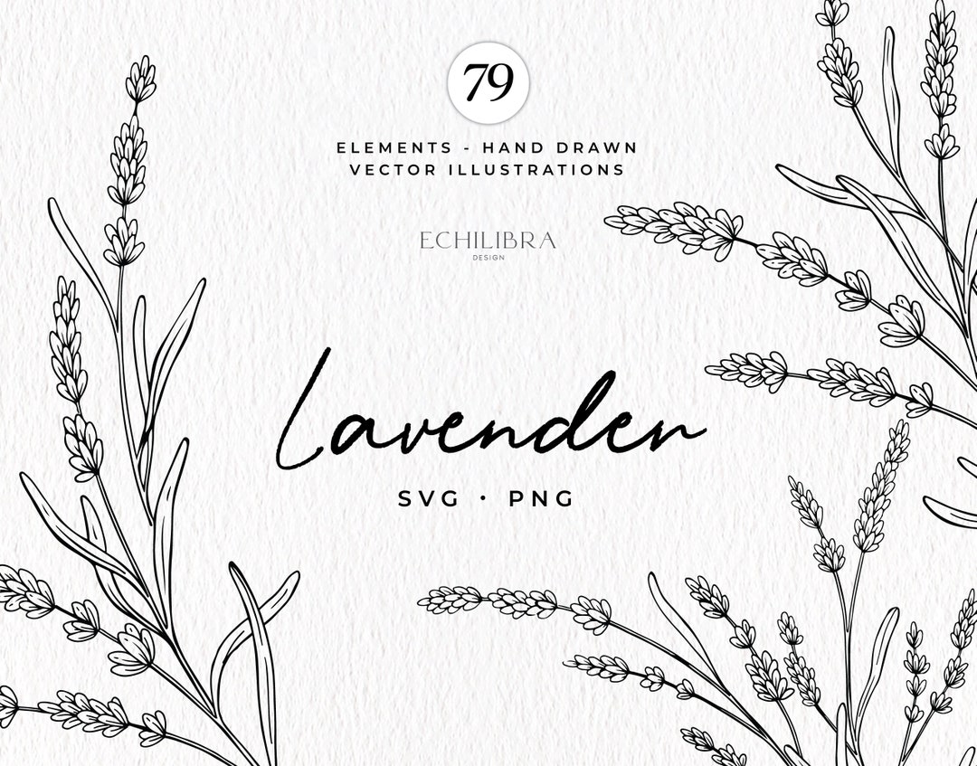 Lavender SVG Bundle Hand Drawn Lavender Designs Lavender - Etsy UK