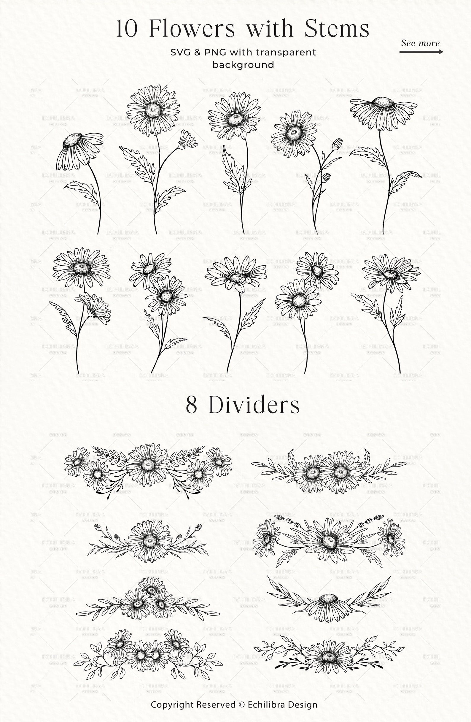 Daisy Floral Line Art Bundle, Daisy Botanical SVG, Clipart, Spring ...