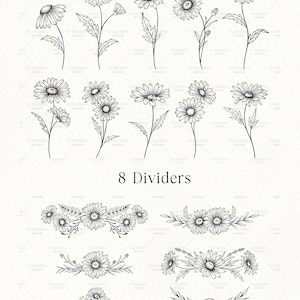 Daisy Floral Line Art Bundle, Daisy Botanical SVG, Clipart, Spring ...