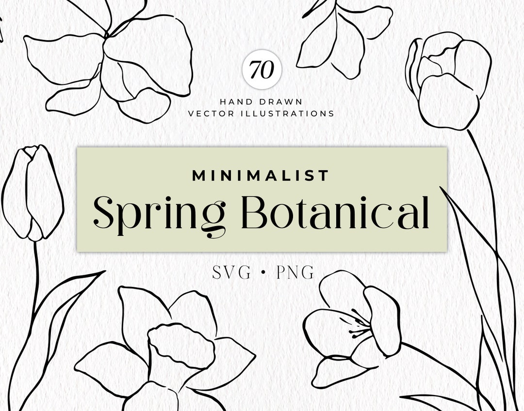 Minimalist Botanical Line Art, Spring Flower Illustrations (SVG, PNG ...