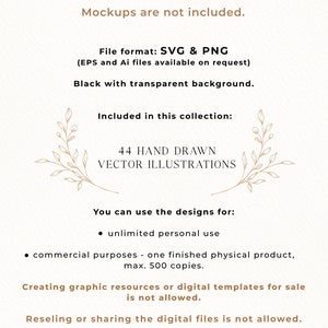 Botanical Line Art, Minimalistic Line Flowers, Botanical Line Art ...