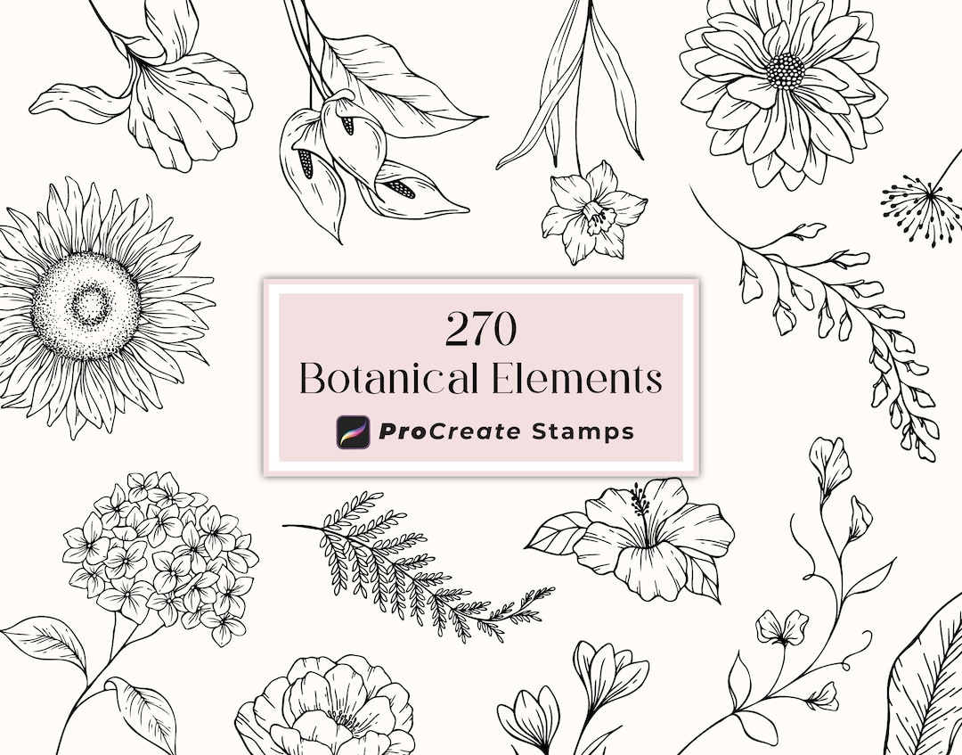 Procreate Flower Stamps, Hand Drawn Botanical Brushes (digital Download ...