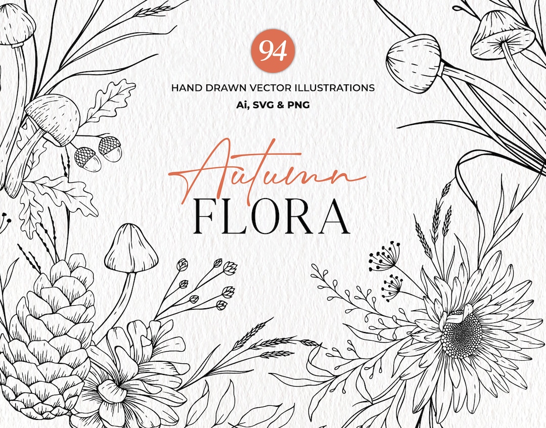 Autumn Floral Line Art, Fall Flowers, Hand Drawn Autumn Designs ...