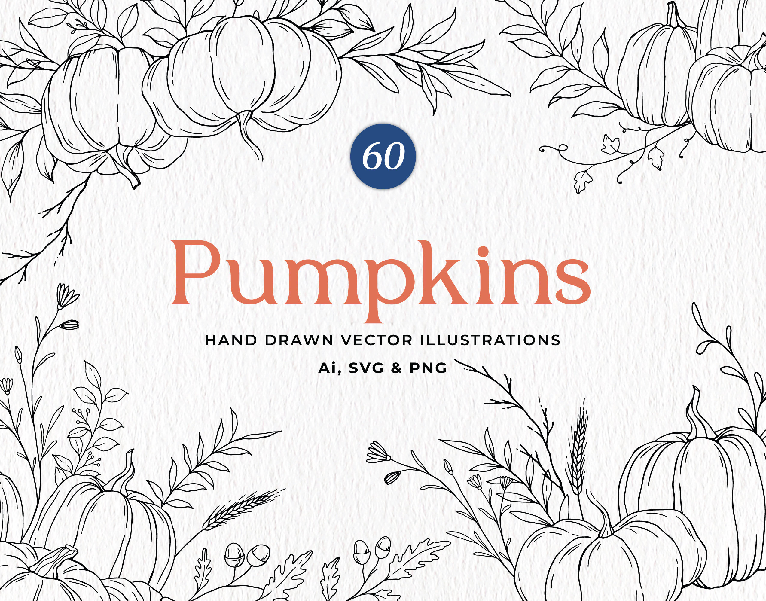 Pumpkin Vine Vector