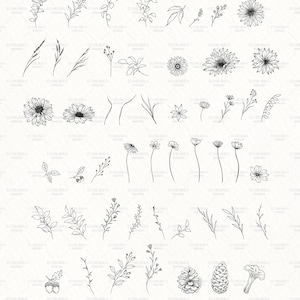 Autumn Floral Line Art, Fall Flowers, Hand Drawn Autumn Designs ...