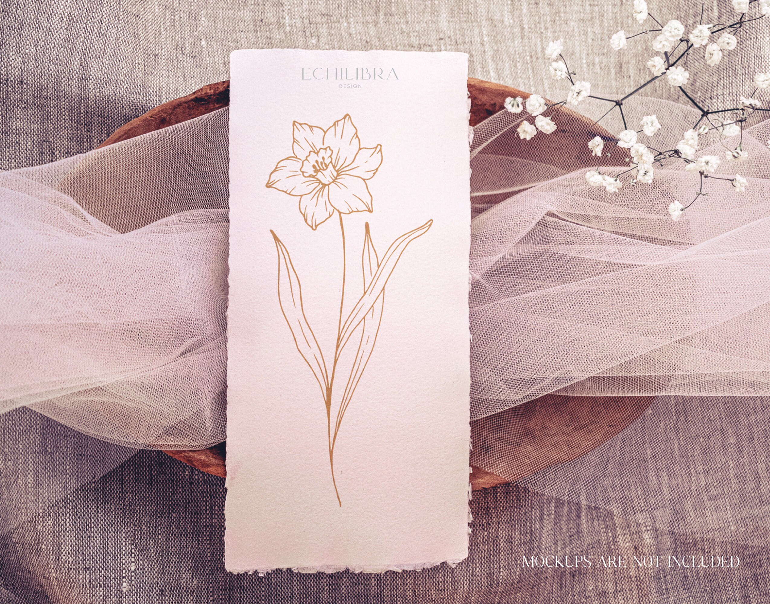 Birth Month Flowers Hand Drawn Vector Illustrations Clipart - Etsy UK