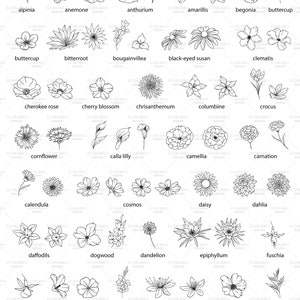 Line Art Floral SVG, Minimalistic Flowers, SVG Floral Bundle, Hand ...