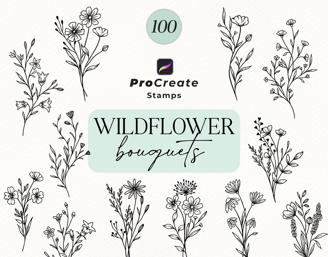 Procreate Wildflower Stamp Brushes, Botanical Stamps, Hand Drawn Floral ...