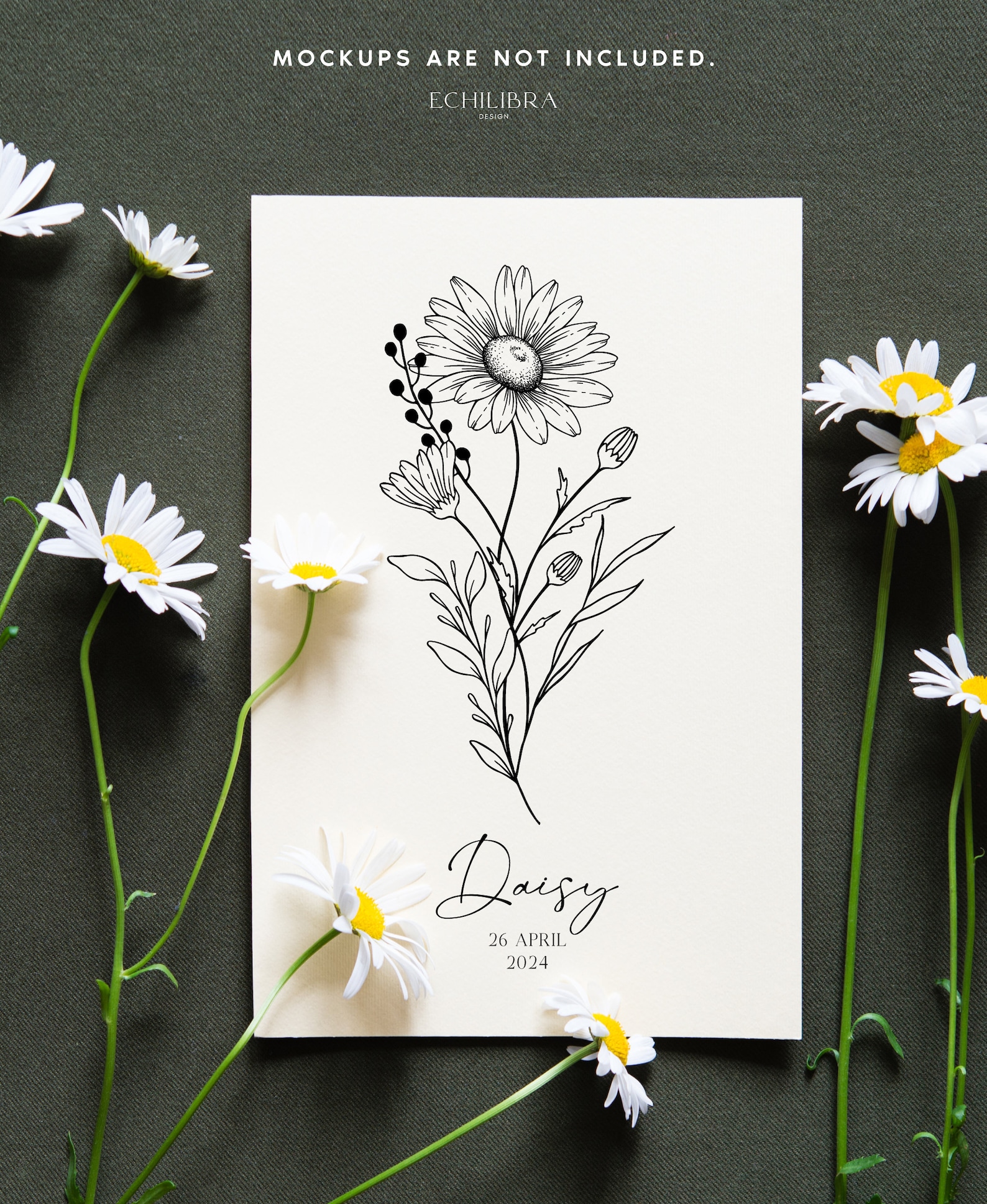 Daisy Floral Line Art Bundle, Daisy Botanical SVG, Clipart, Spring ...