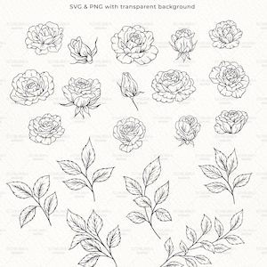 Rose Fine Line Artwork, Rose Designs, Botanical Line Art, SVG, Clipart ...