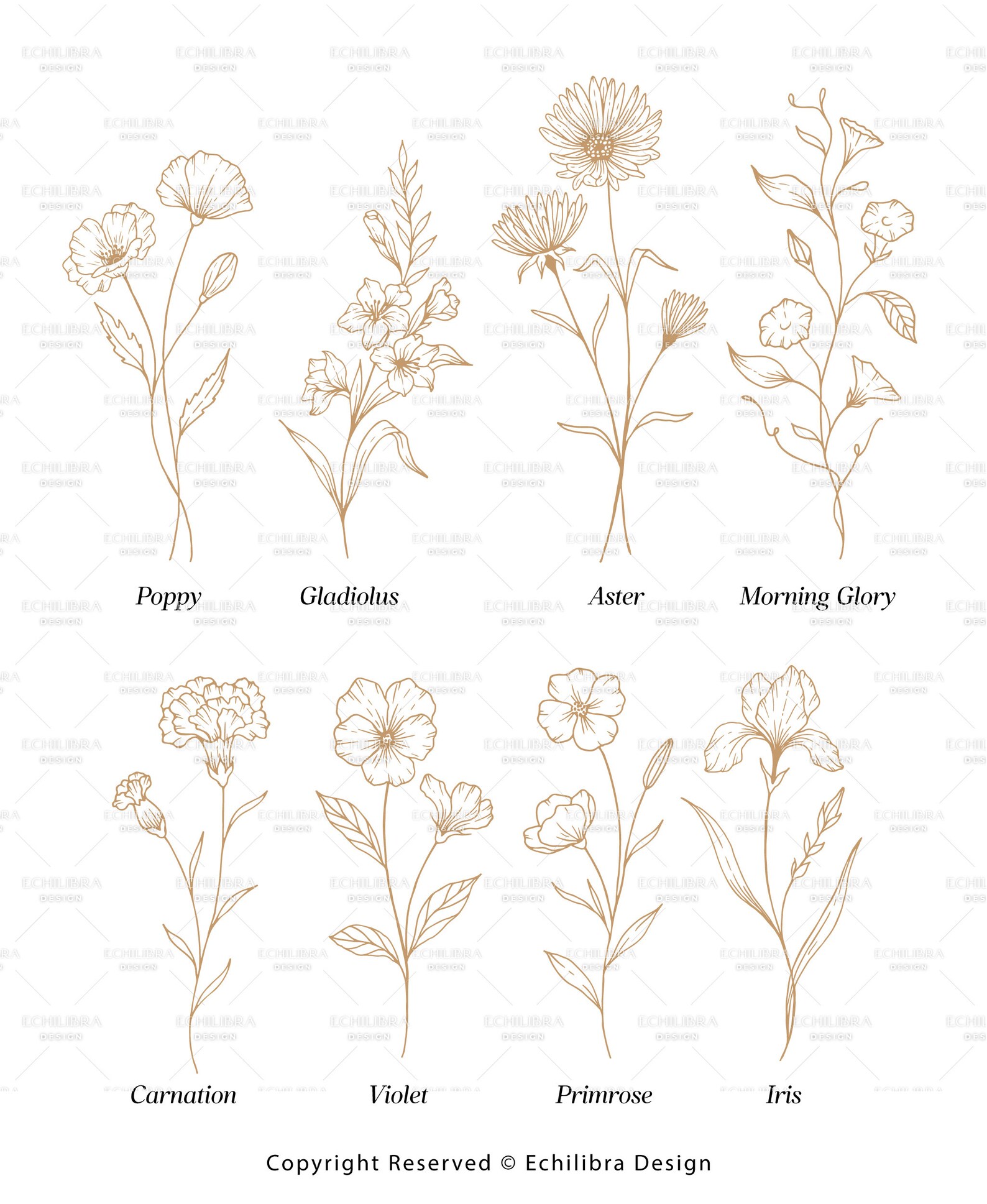 Birth Month Flowers, Hand Drawn Vector Illustrations, Clipart, SVG ...