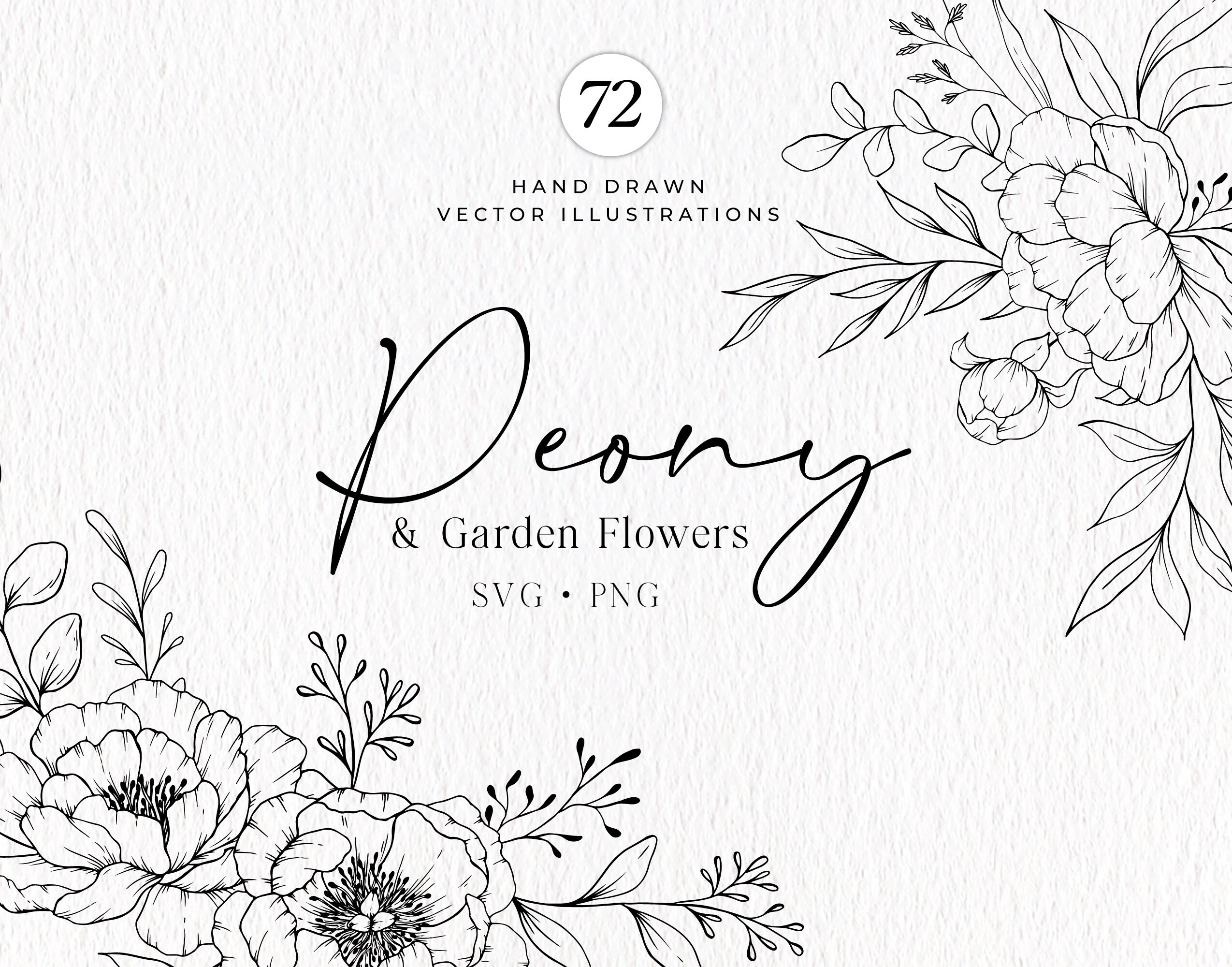 Peony Fine Line Artwork Garden Flowers Botanical Line Art - Etsy Australia