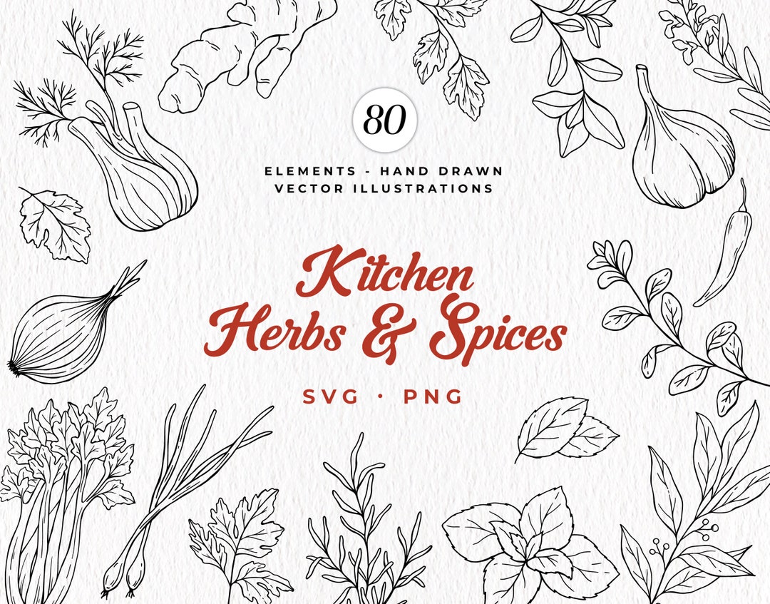 Kitchen Herbs SVG Bundle, Spices, Botanical Kitchen, Hand Drawn Herbs ...
