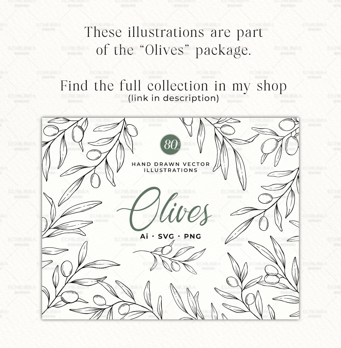 Hand Drawn Olives SVG, Botanical Olive Clipart PNG, Olive Wreath PNG ...