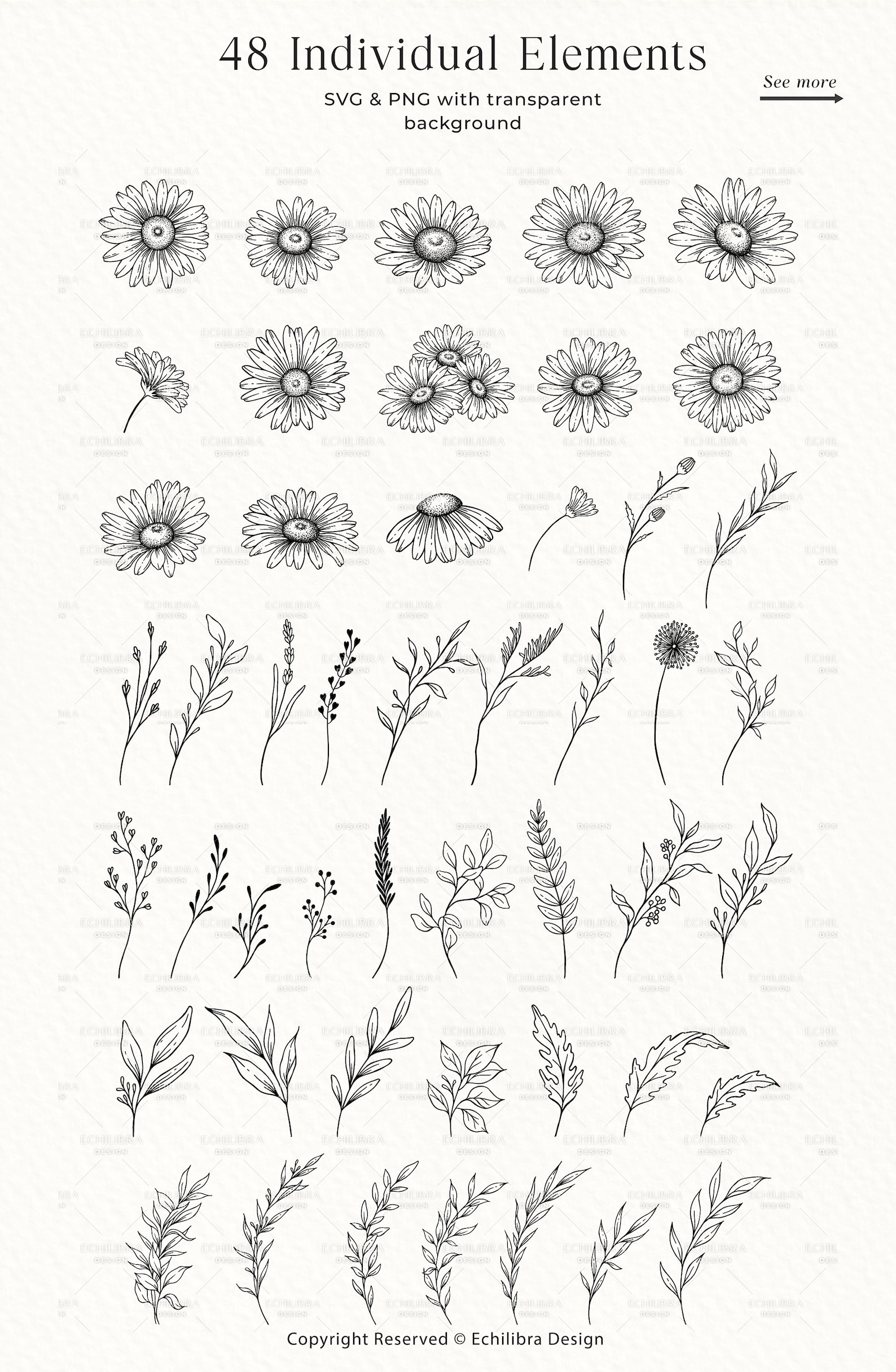 Daisy Floral Line Art Bundle, Daisy Botanical SVG, Clipart, Spring ...