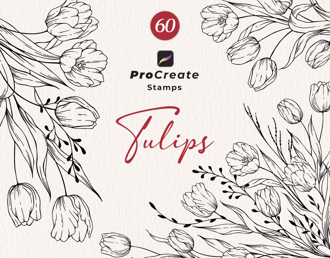 Procreate Floral Line Art, Tulip Flower Stamps, Tulip Tattoo Brushes ...