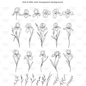 Iris Flower Line Art, Botanical Iris Line Art SVG, Iris Clipart ...