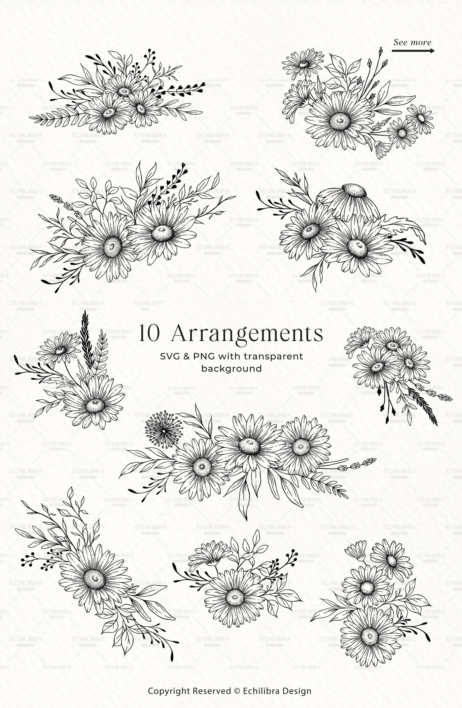 Daisy Floral Line Art Bundle, Daisy Botanical SVG, Clipart, Spring ...