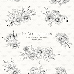 Daisy Floral Line Art Bundle, Daisy Botanical SVG, Clipart, Spring ...