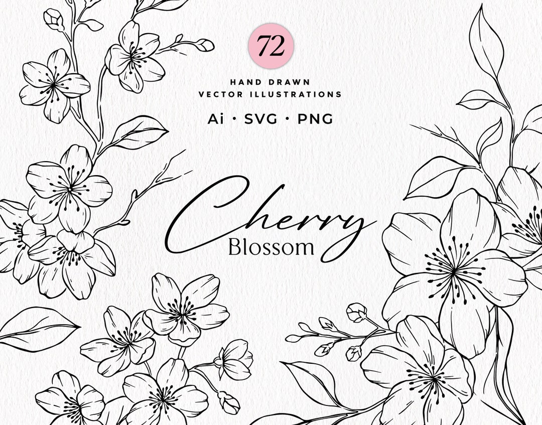 Cherry Blossom Line Art SVG, Floral SVG Bundle, Botanical Hand Drawn ...