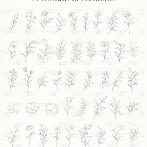 Botanical Line Art, Minimalistic Line Flowers, Botanical Line Art ...