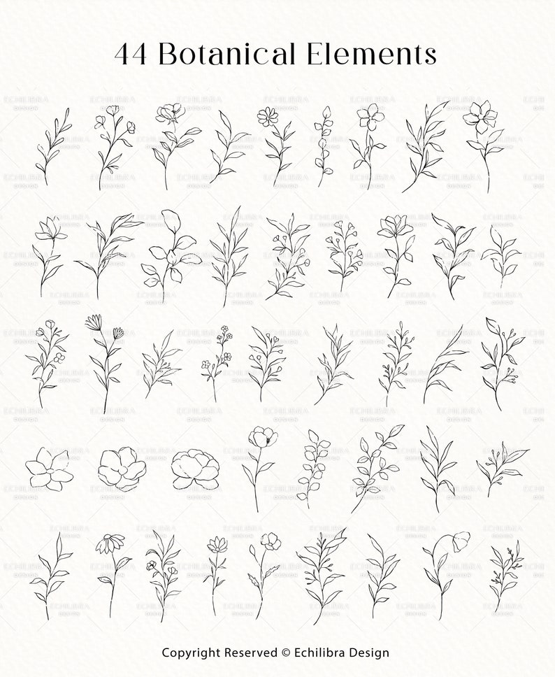 Botanical Line Art, Minimalistic Line Flowers, Botanical Line Art ...