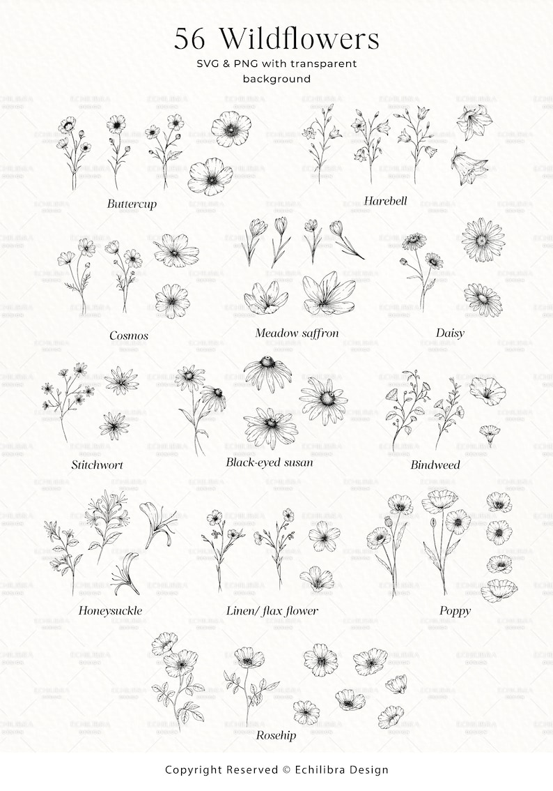 Wildflowers Line Art Botanical Hand Drawn Line Art Floral - Etsy