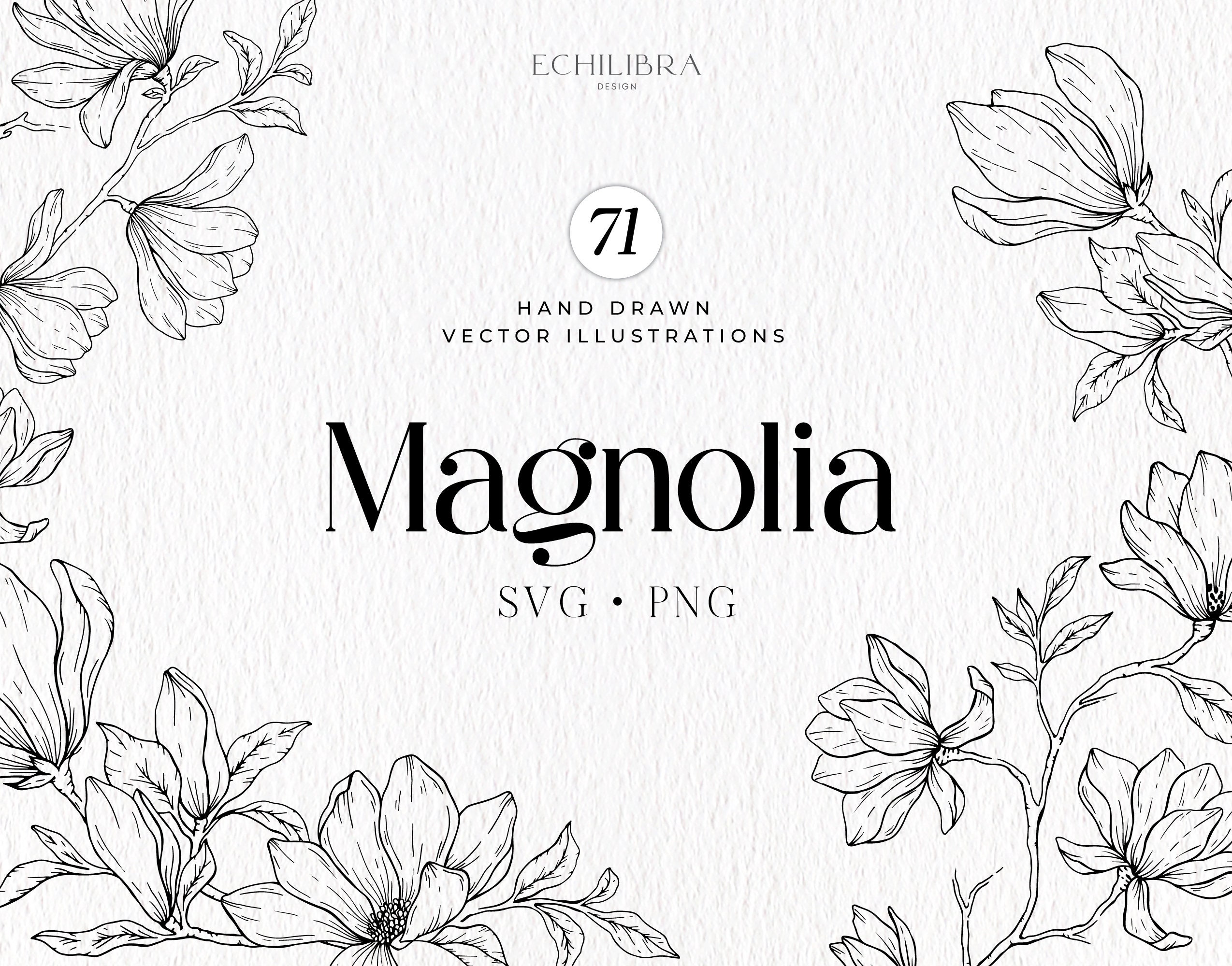 Magnolia Botanical Hand Drawn Vector Illustration Clipart - Etsy