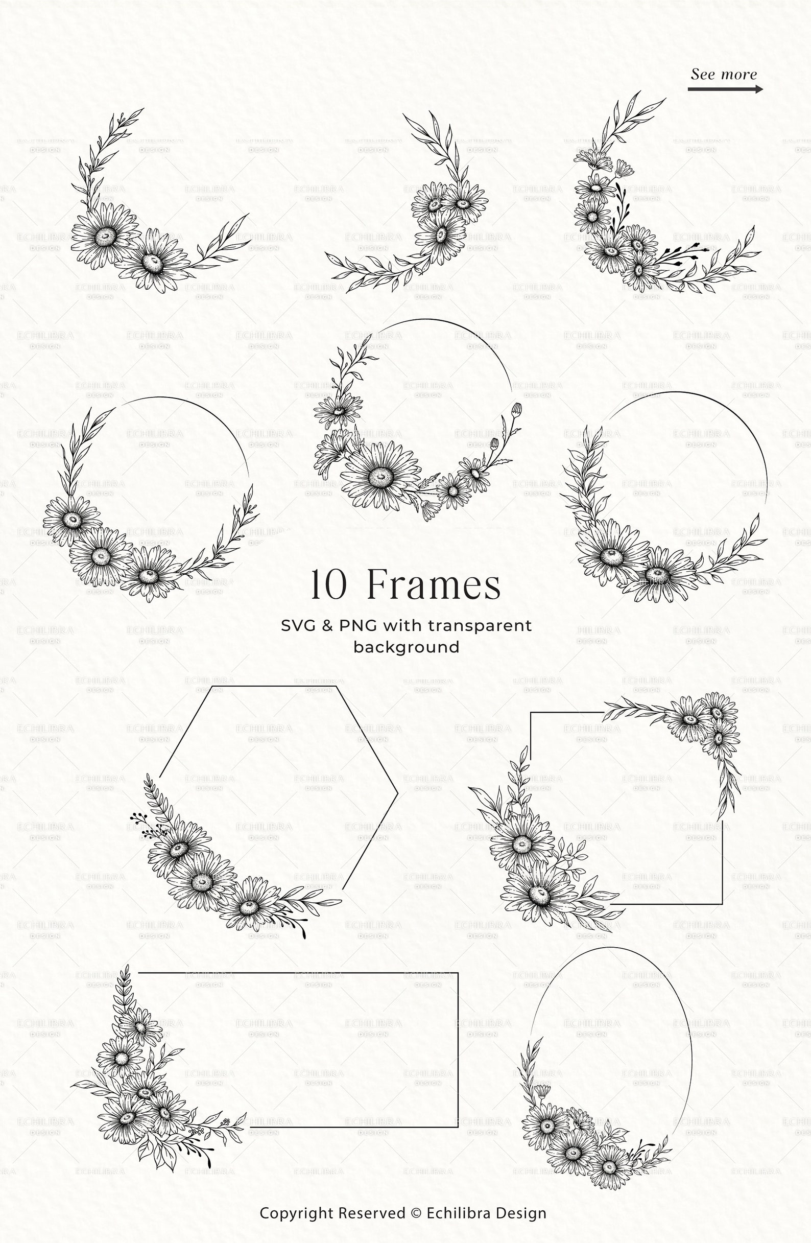 Daisy Floral Line Art Bundle, Daisy Botanical SVG, Clipart, Spring ...